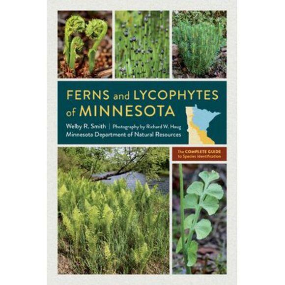 Welby R. Smith | Other | Ferns And Lycophytes Of Minnesota The Complete ...